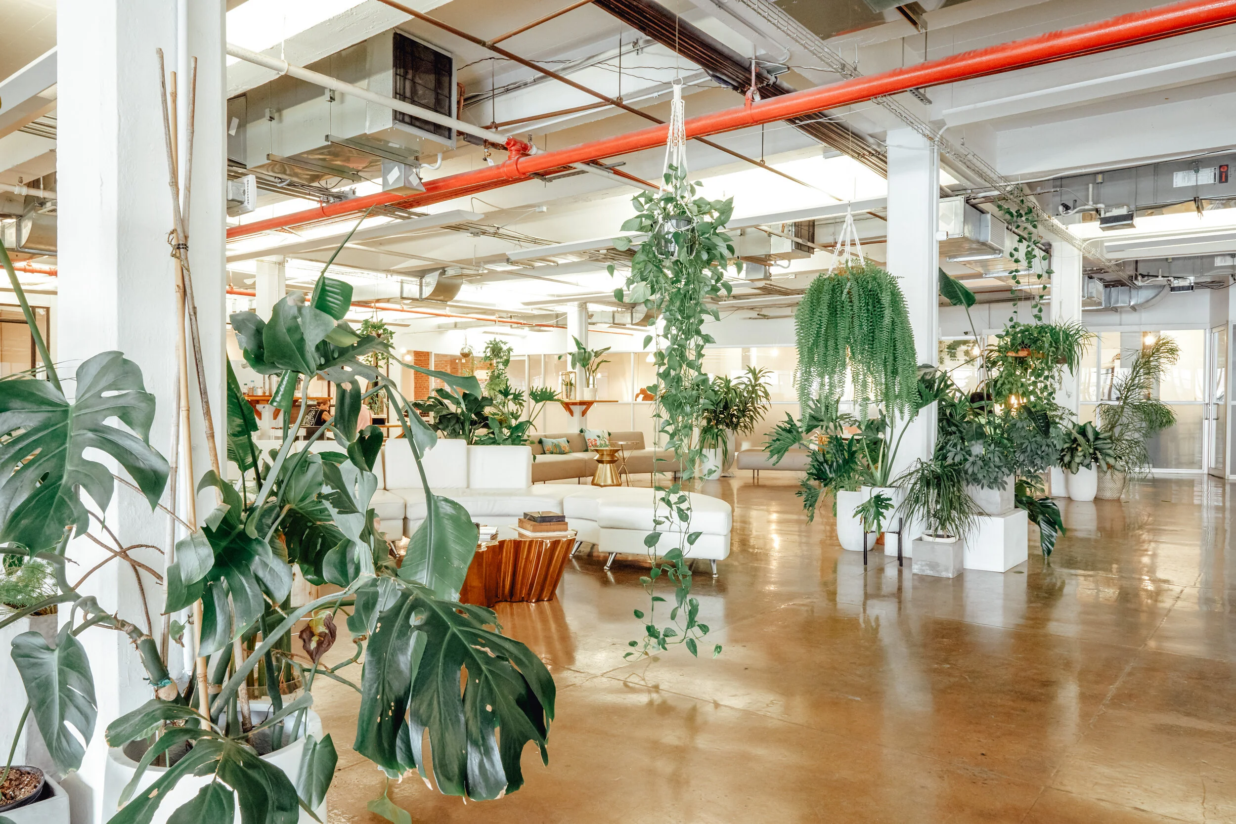 The Brass Factory Flexible Office Space Williamsburg Brooklyn The Brass Factory Flexible Office Space Williamsburg Brooklyn