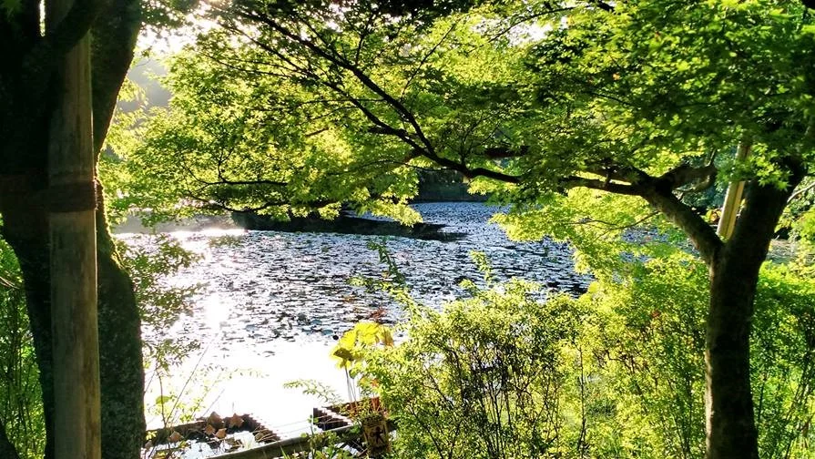 Clinical Psychologist, carlton