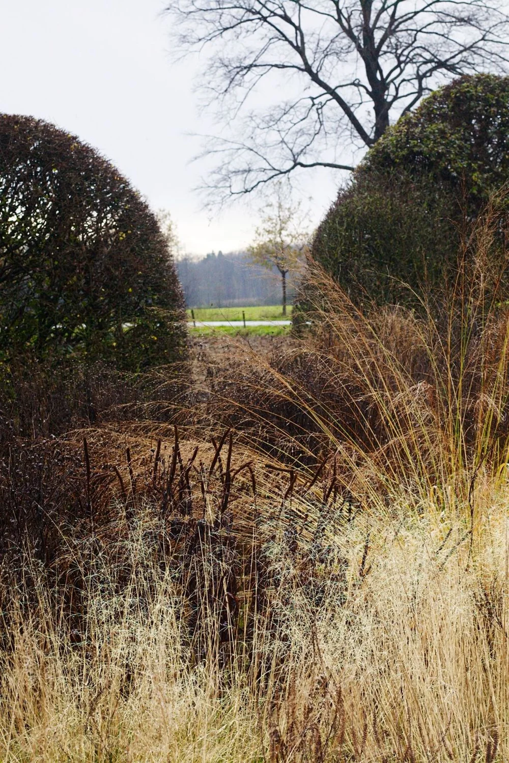 Piet Oudolf garden design — april and may