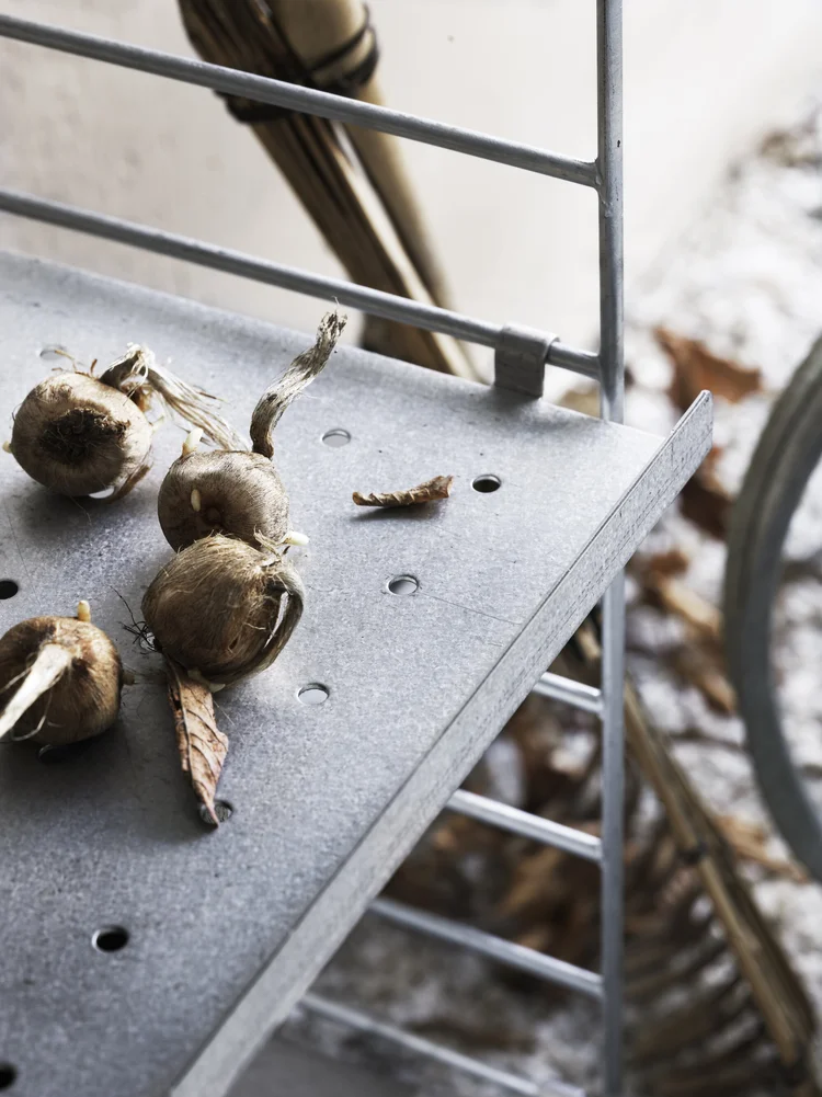 Galvanized String® — april and may