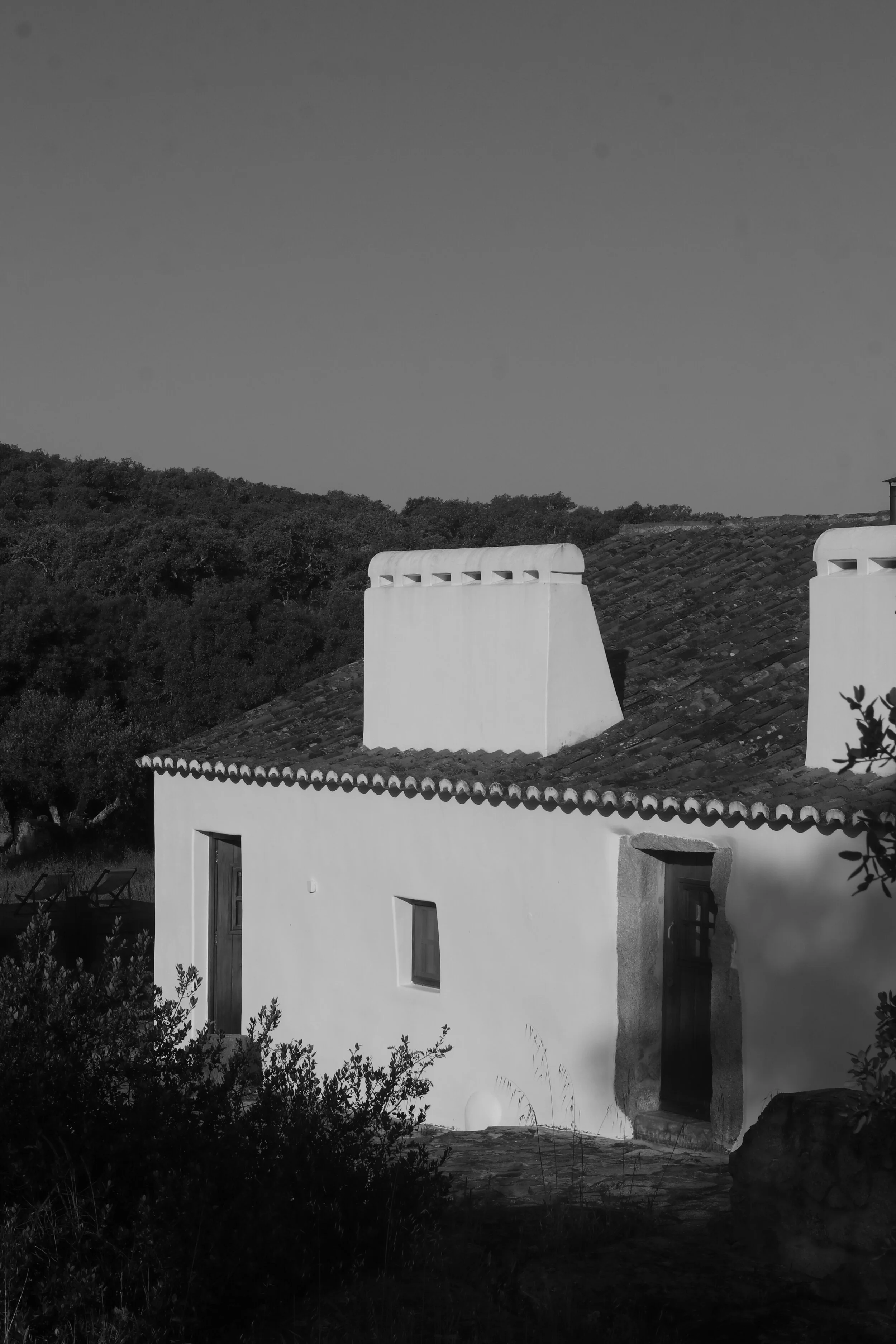 Silent Landscape - a Summer story — april and may