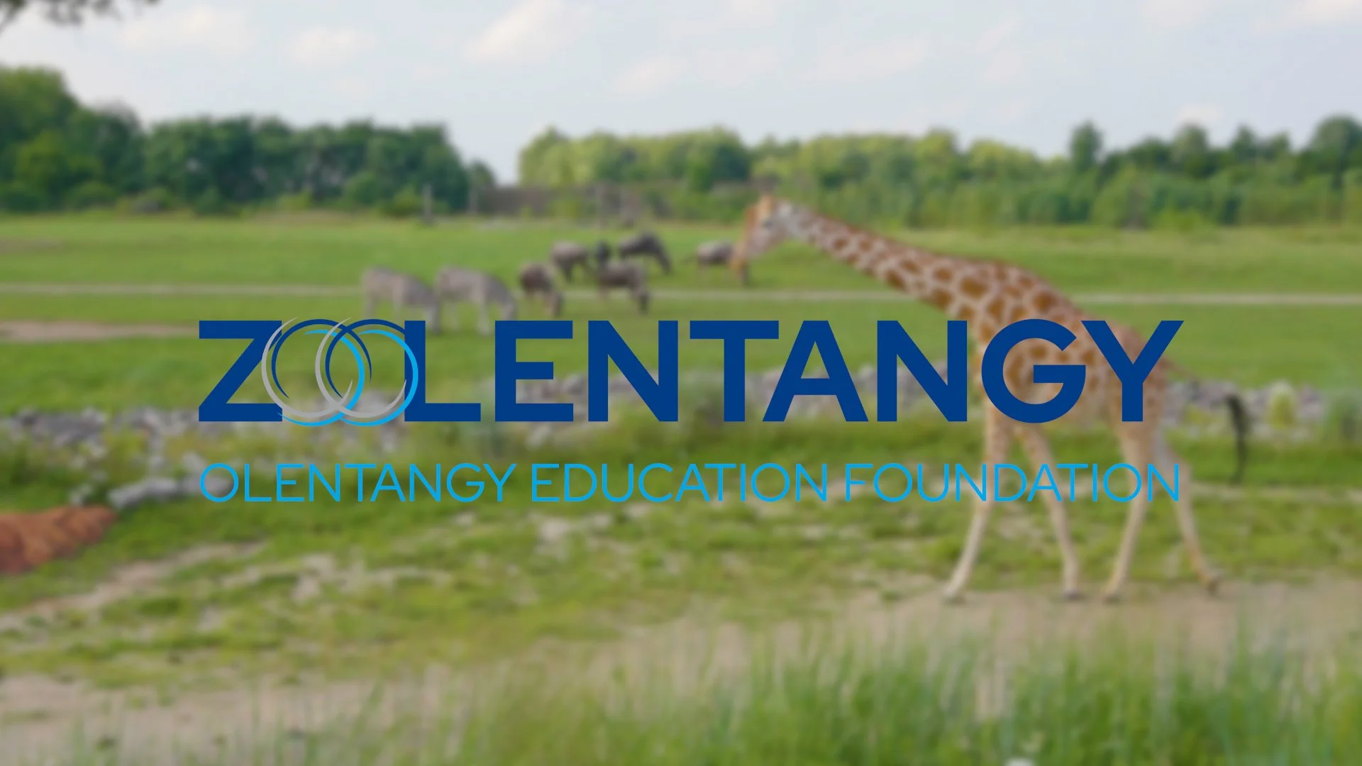 ZOOlentangy 2023: A Roaring Success for OEF's Annual Fundraiser ...
