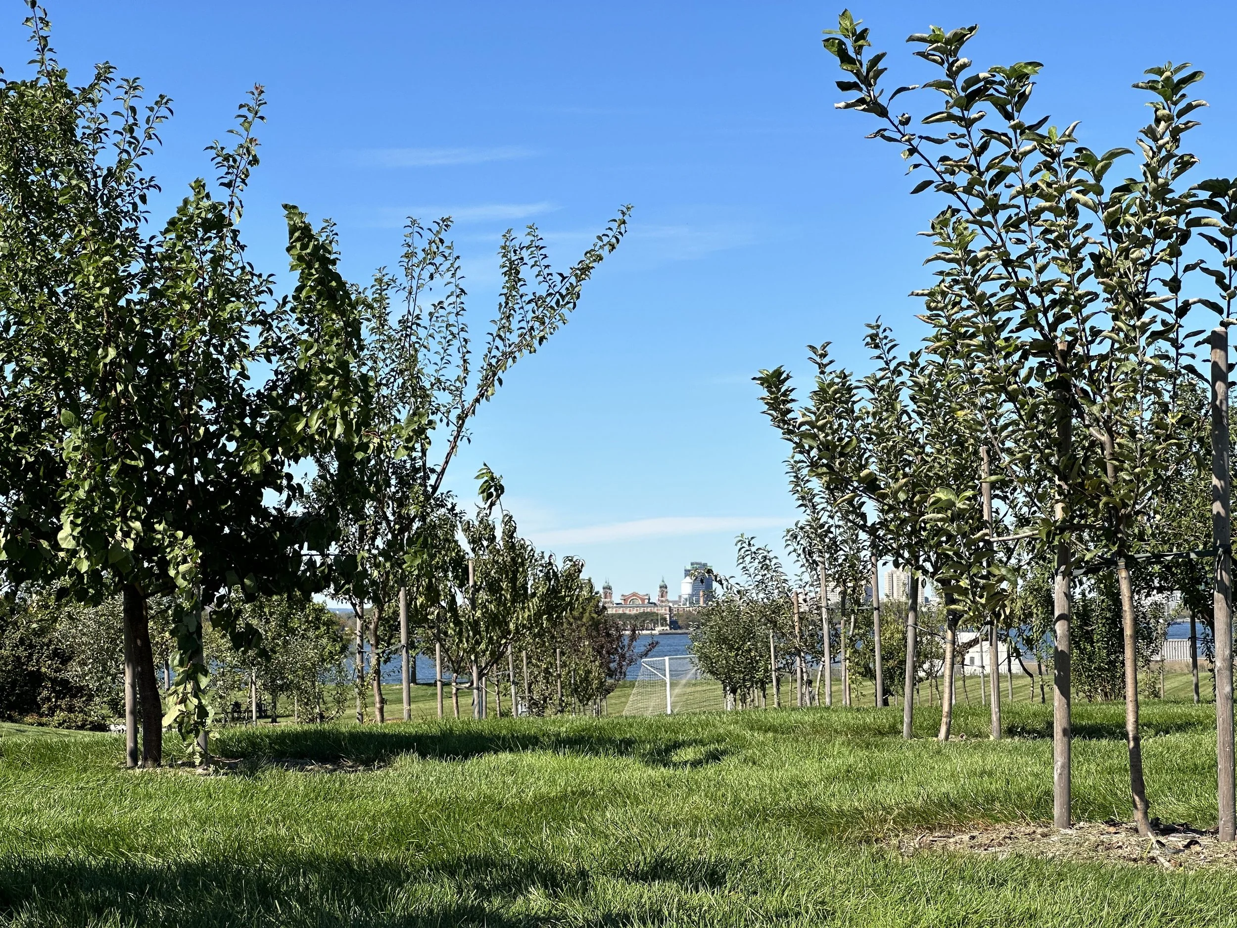 Open Orchard — Sam Van Aken