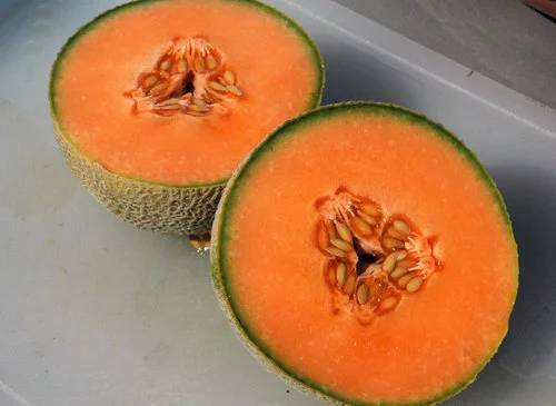 Mixed Melons — Durst Organic Growers