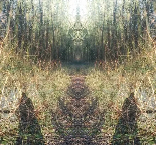 The Secret Faces of Things — Arthur Cullipher