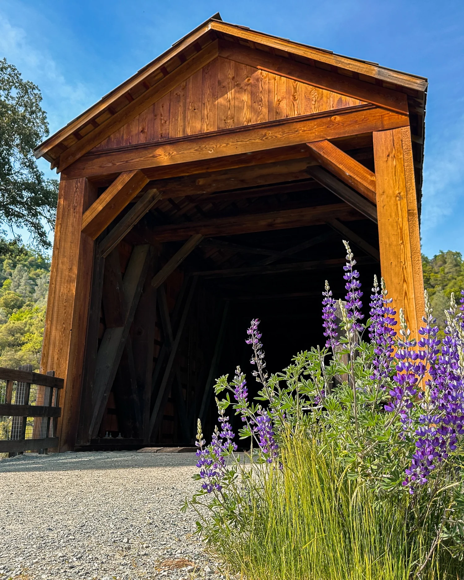 Blue Ruby Farm Review: Farmstay + Retreat in California | Where’s Jessie B.