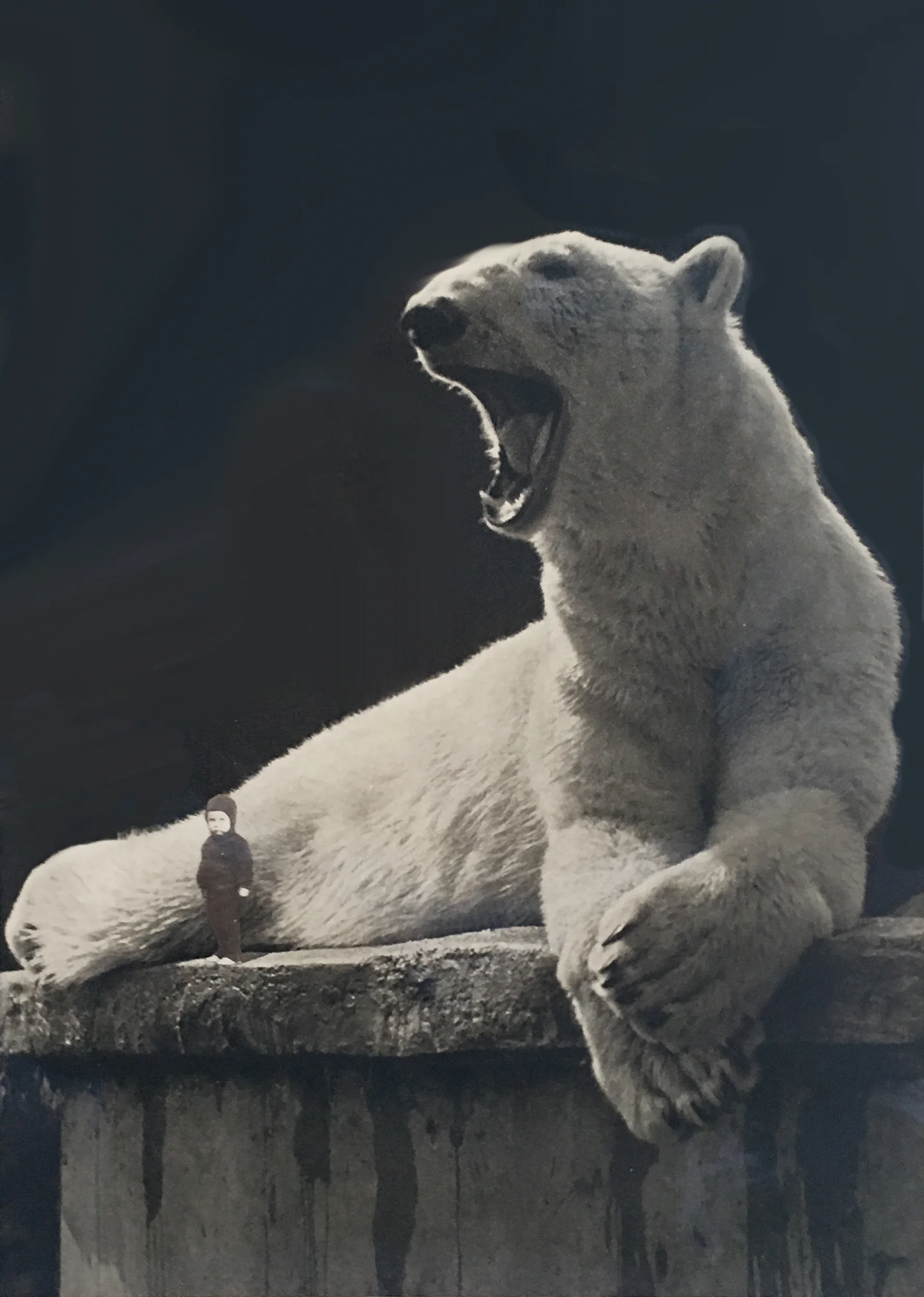 John O'Reilly — Anderson Yezerski Gallery