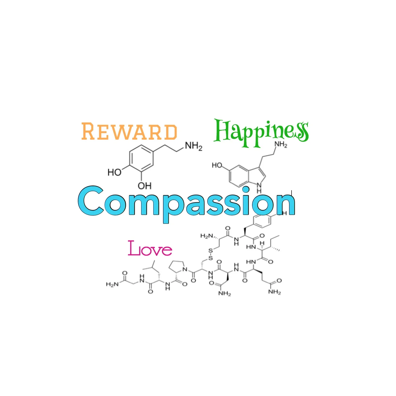 Your Brain on Compassion — Community Mindfulness Project