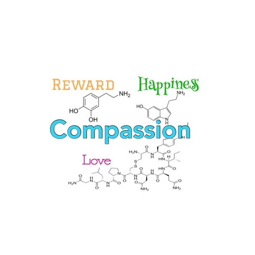Your Brain on Compassion — Community Mindfulness Project