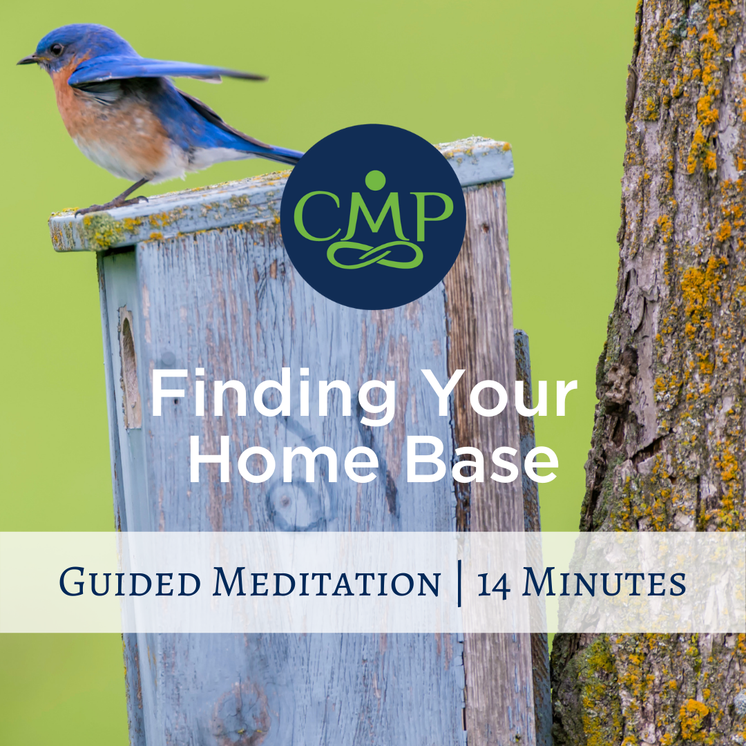 Finding Your Home Base - Guided Meditation — Community Mindfulness Project