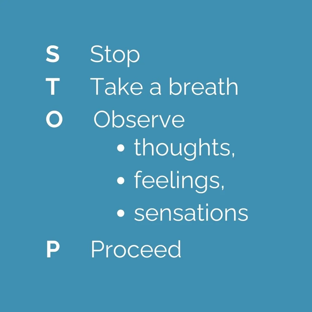 Lisa and the Giant Stop Sign — Community Mindfulness Project