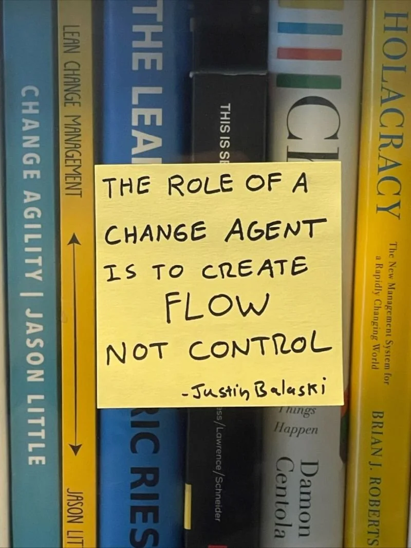 Rebels At Work: Control is for Amateurs — Rebels at Work