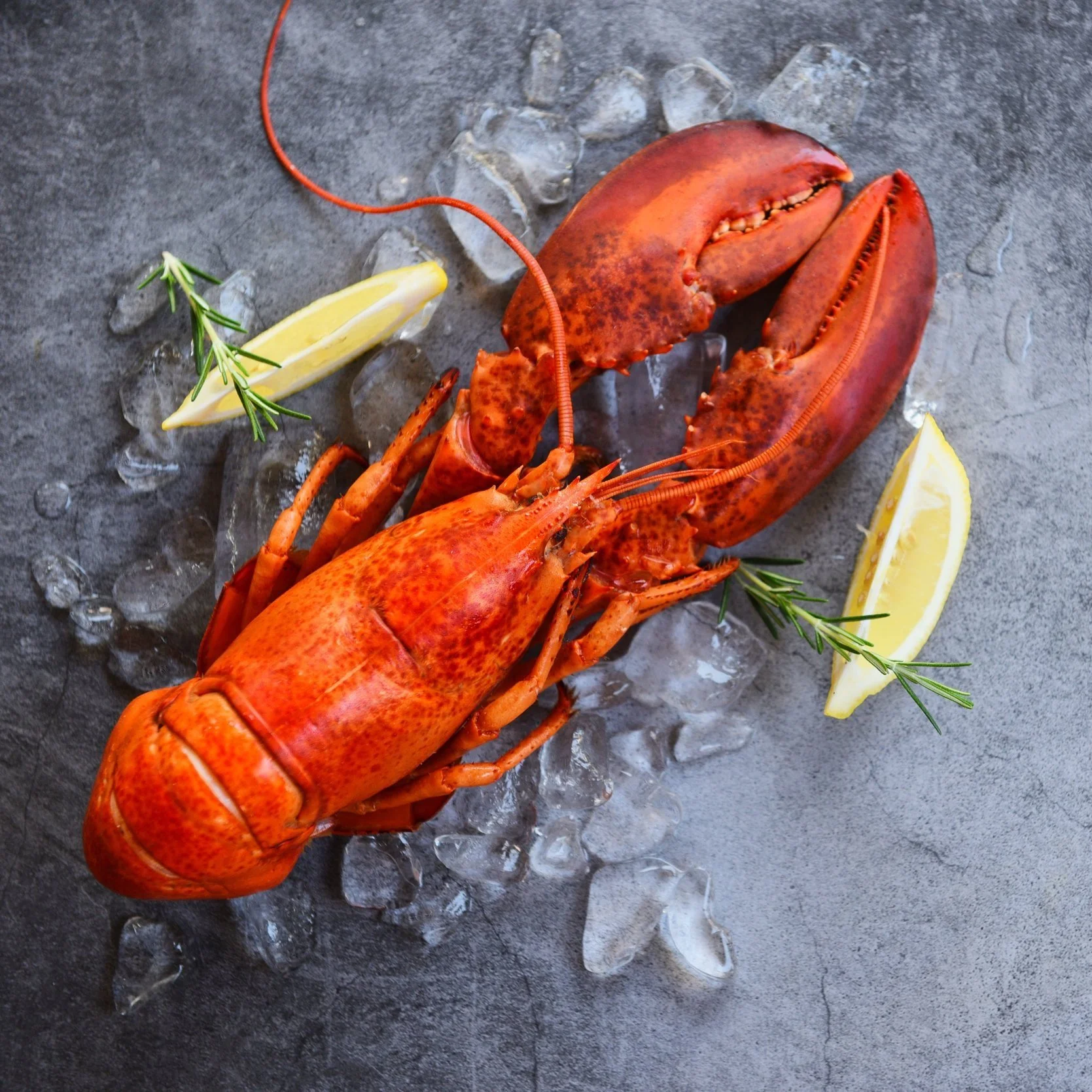 Activités — CLUB SAINT-JAMES