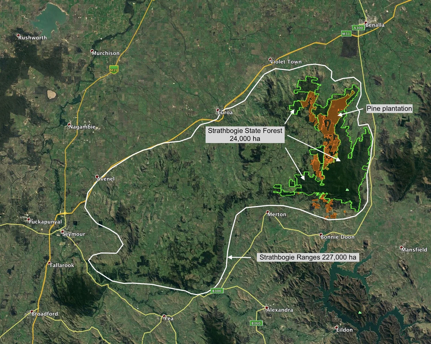 Strathbogie Forest Poster — Biolinks Alliance