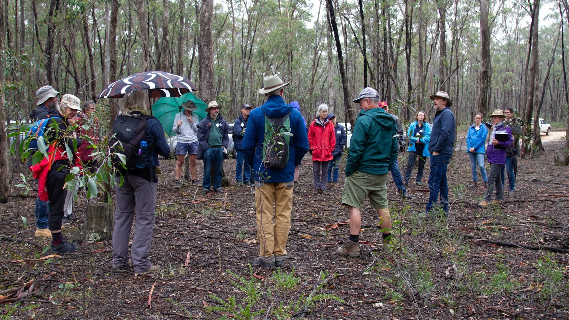 Spring plains — Biolinks Alliance