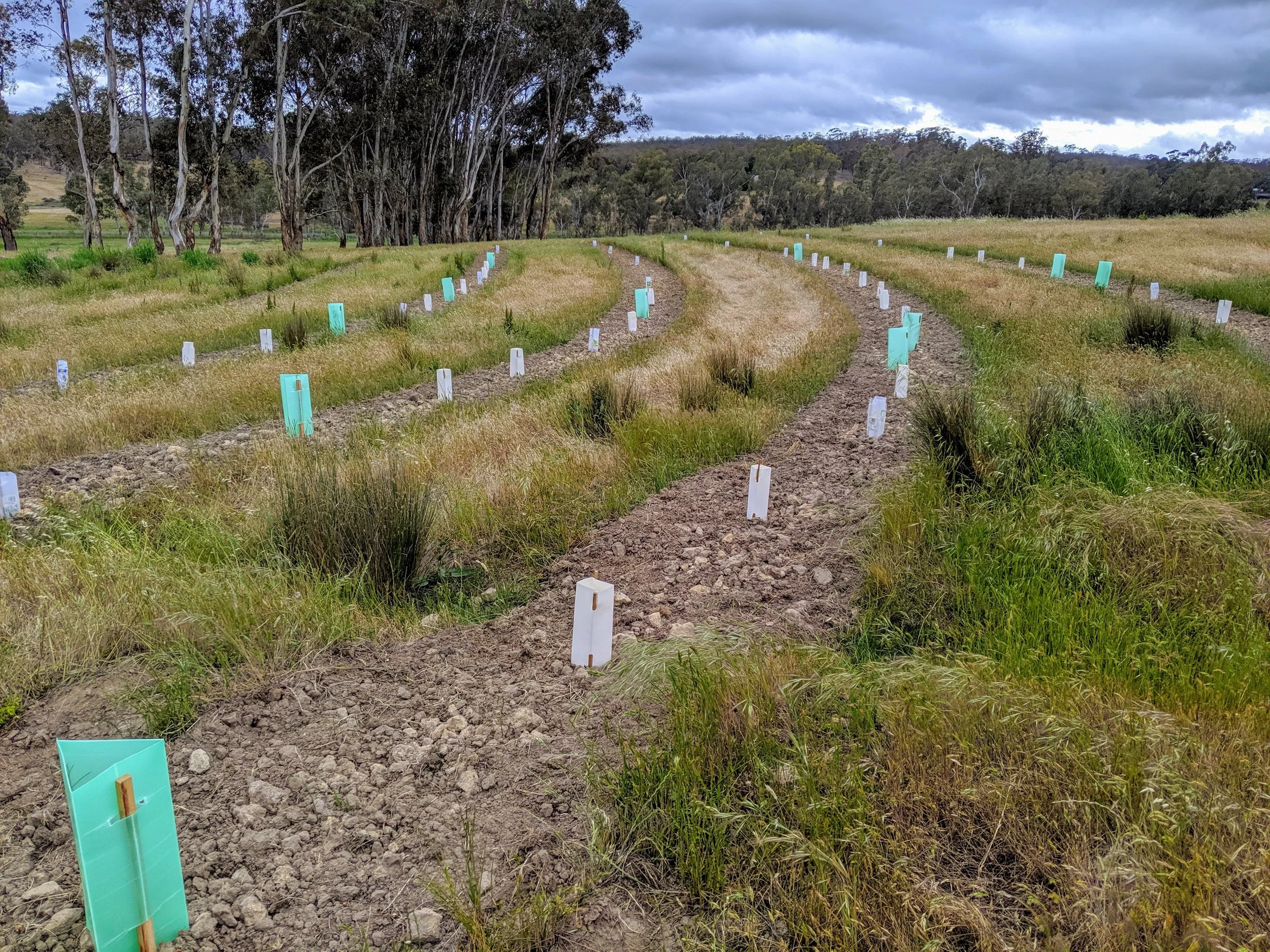 Heathcote Biolinks L2L — Biolinks Alliance