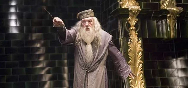 Dumbledore Inspired Costume — Brielle Costumes