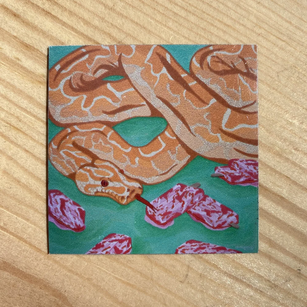 Foot Albino Burmese Python