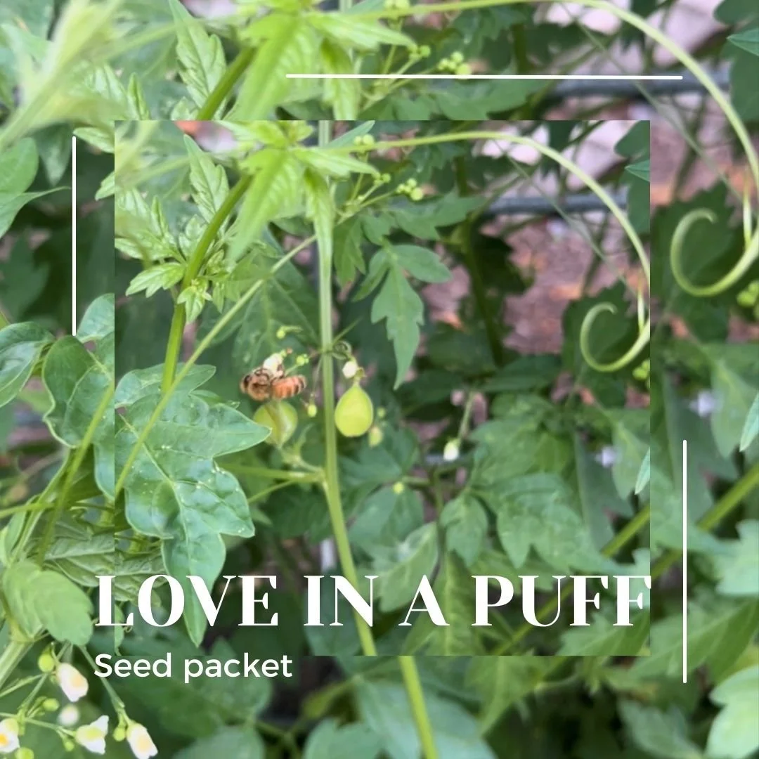 Shop — Handpicked Homestead