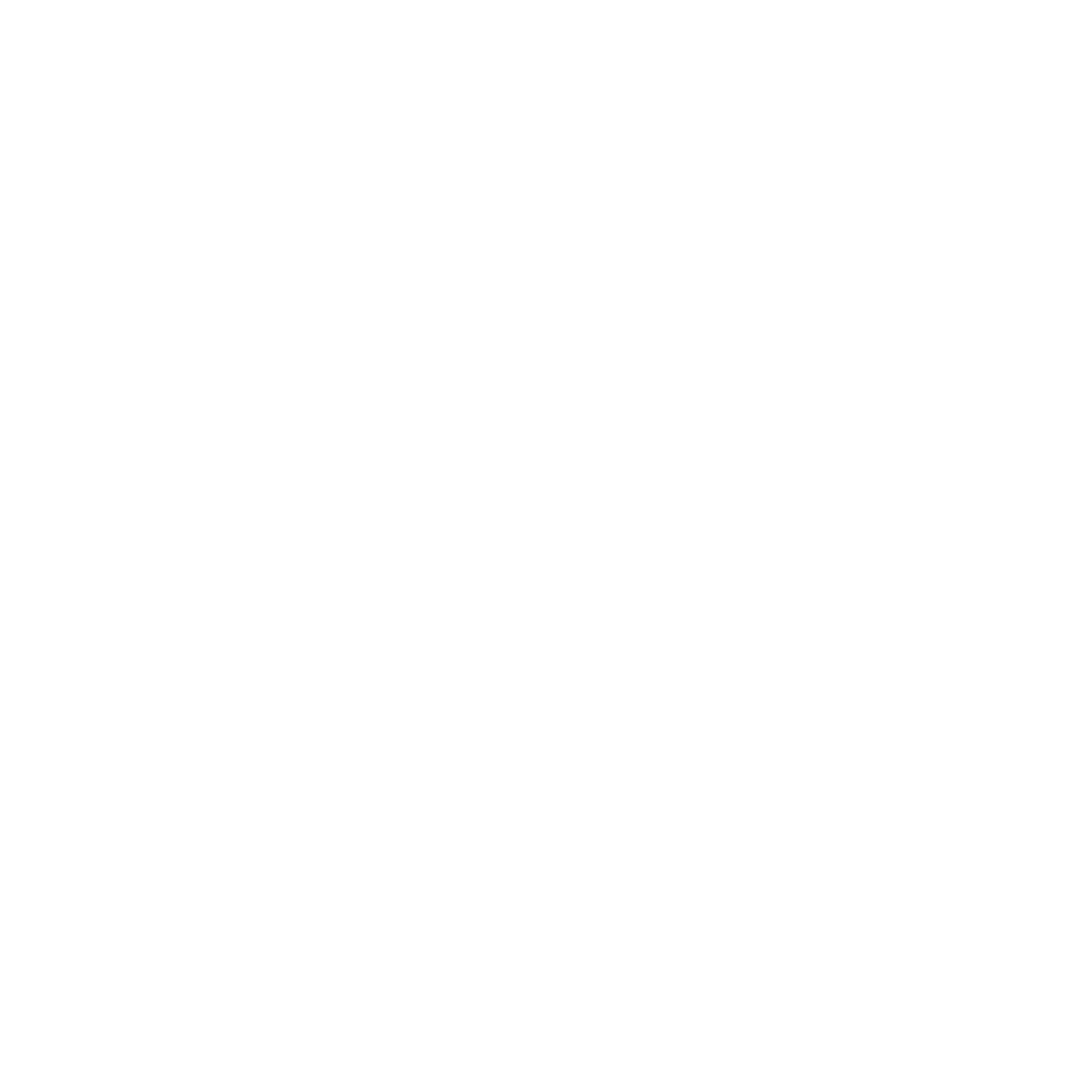 Snapper Photography