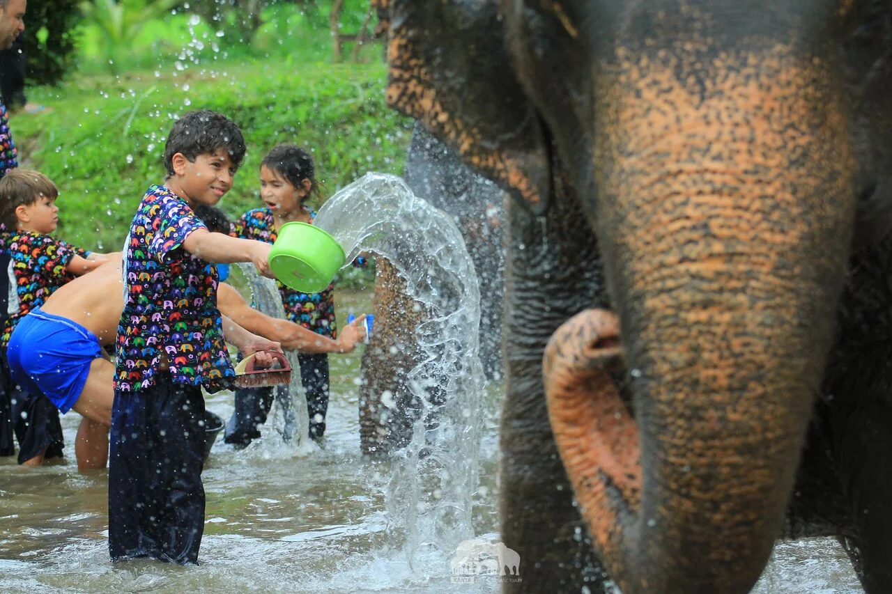 Kanta Elephant Sanctuary - Half Day Program