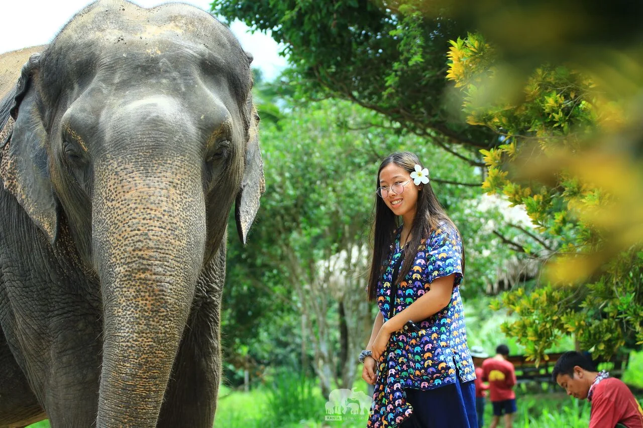 Kanta Elephant Sanctuary - Full day program
