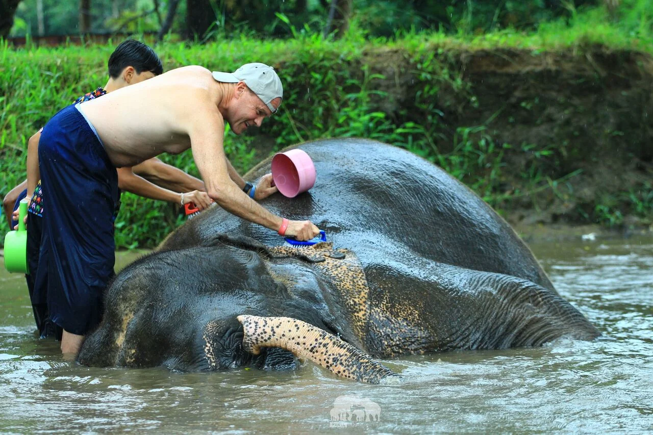 Kanta Elephant Sanctuary - Half Day Program