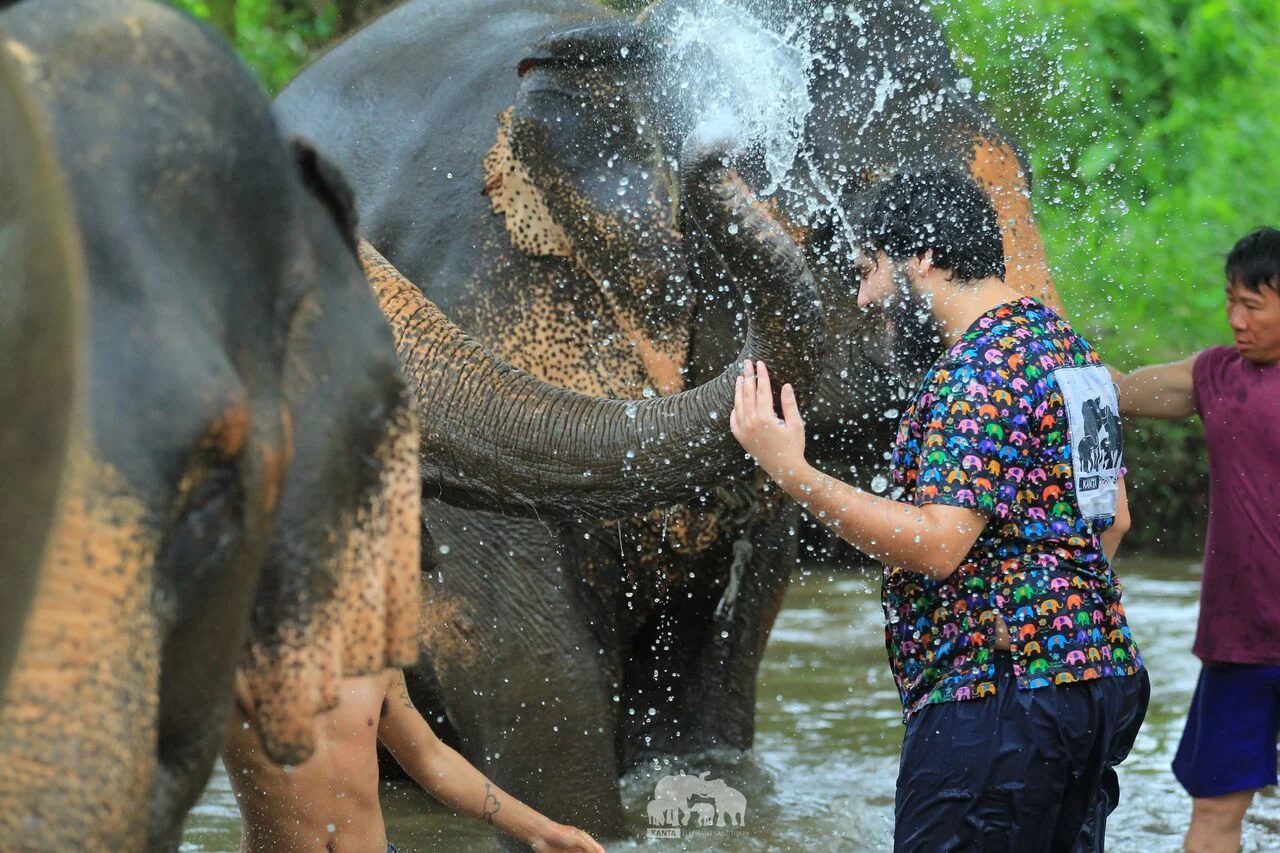 Kanta Elephant Sanctuary - Full day program