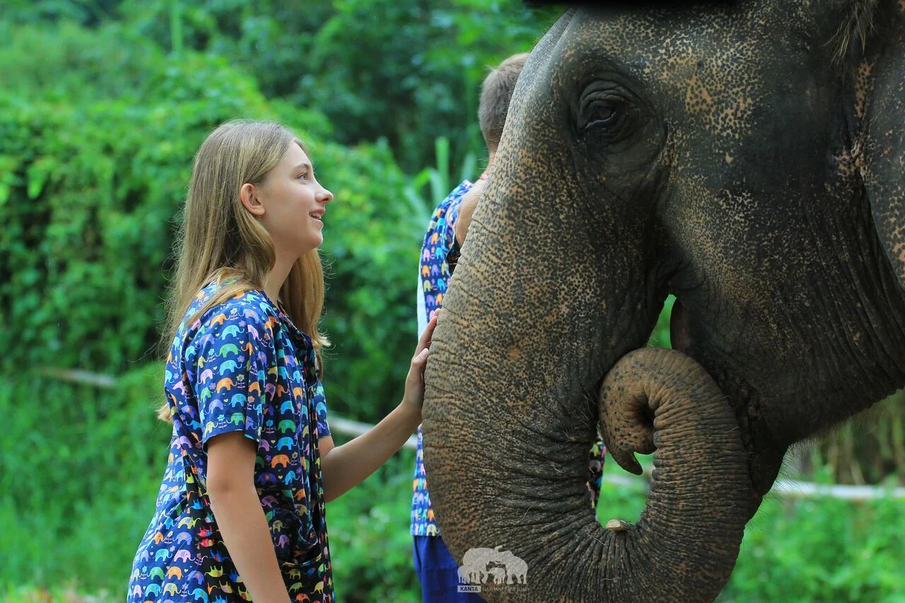 Kanta Elephant Sanctuary - Full day program