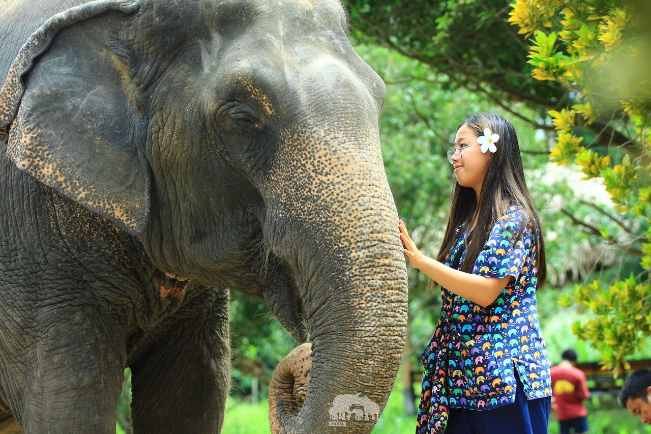 Kanta Elephant Sanctuary - Full day program