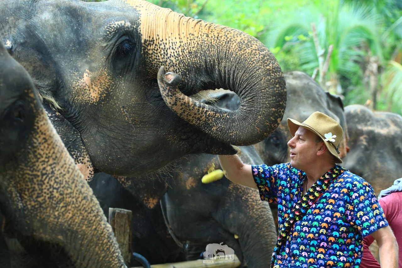 Kanta Elephant Sanctuary - Full day program