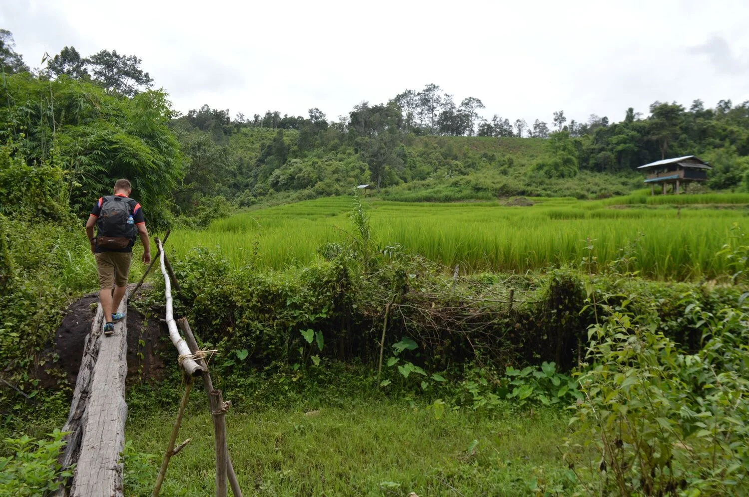 Mae Wang National Park - Three day trekking