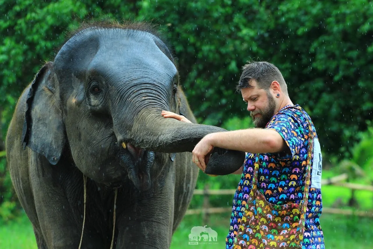 Elephants and the Karen Tribe - Domesticated Elephants in Chiang Mai