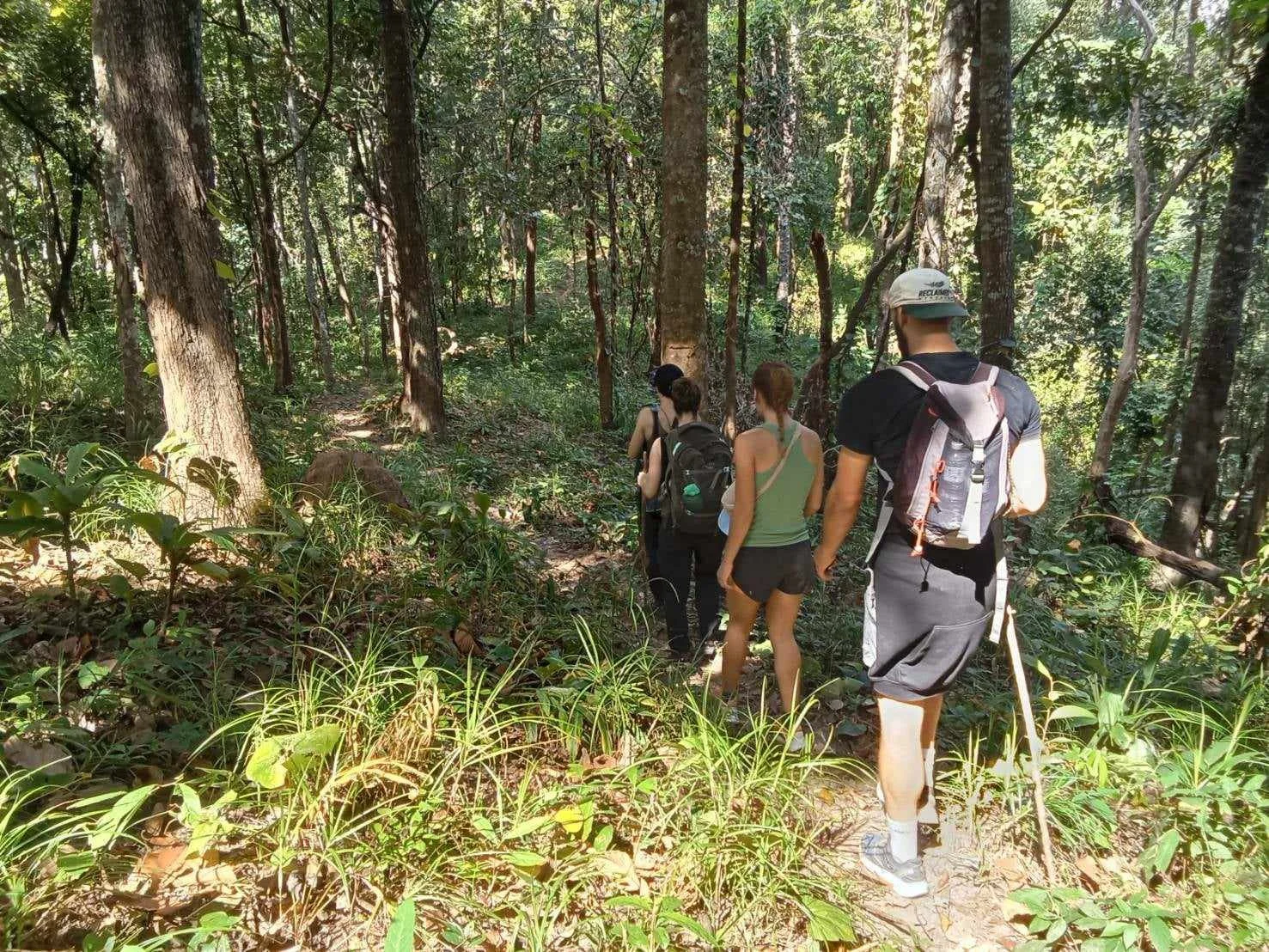 The Most Beautiful National Parks in Chiang Mai