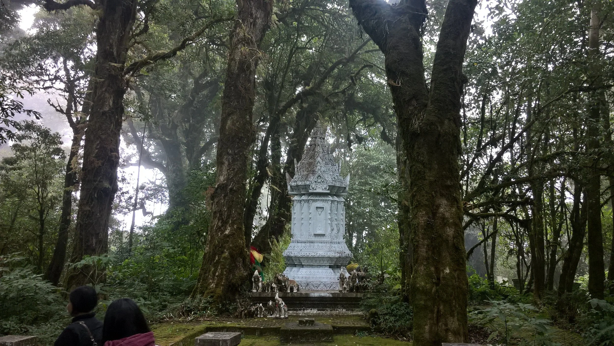 Doi Inthanon - The Definition Of A National Park