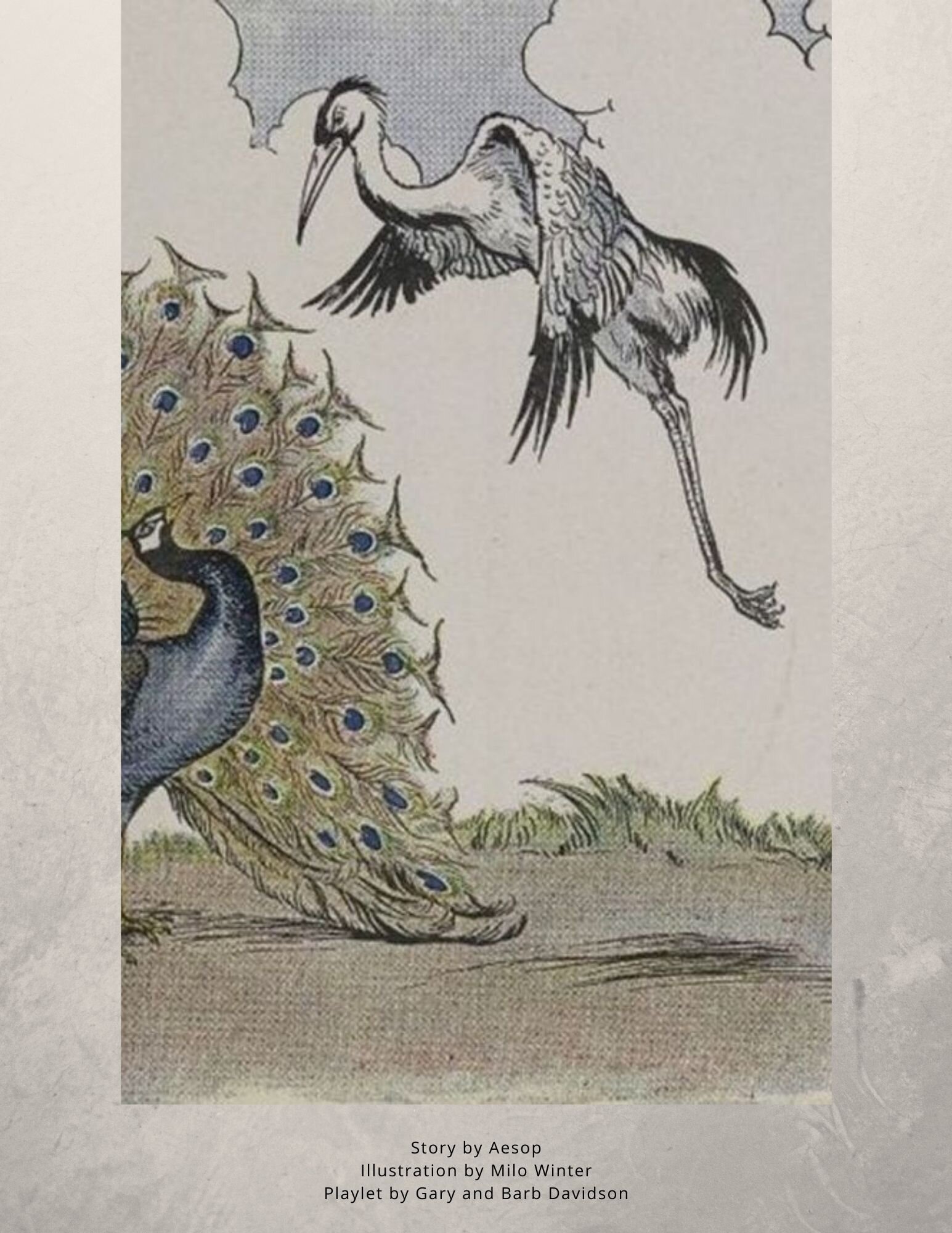 Aesopology - Aesopology