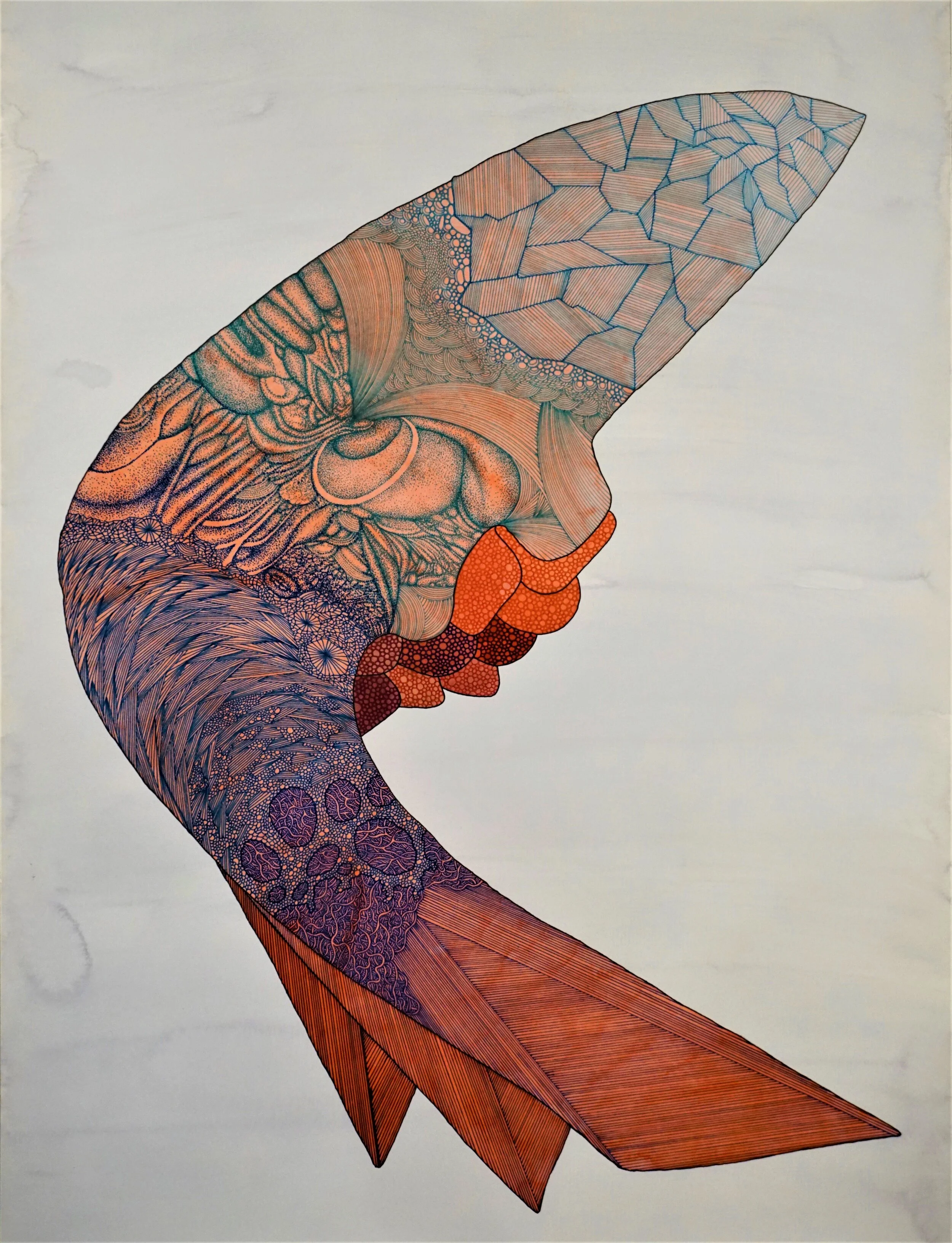 Ichthyoids — Sean Dunstan-Halliday