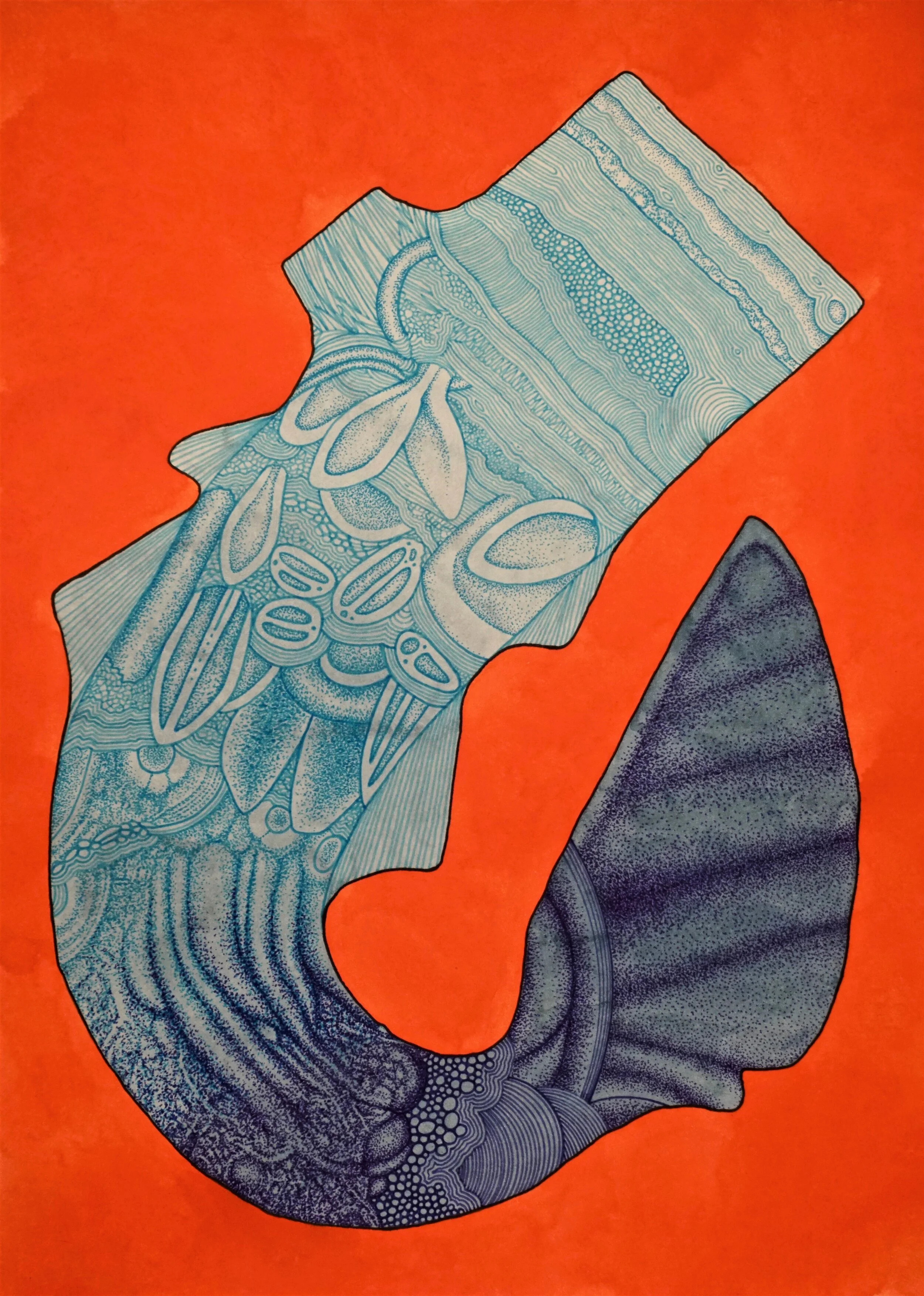 Sean Dunstan-Halliday