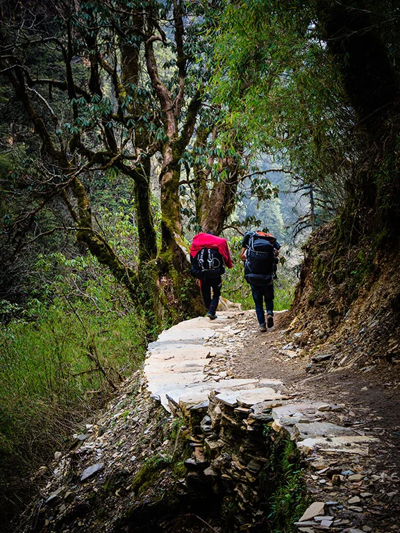 What is a Sherpa Step? — Photographer | Adventure Trekking Tour ...