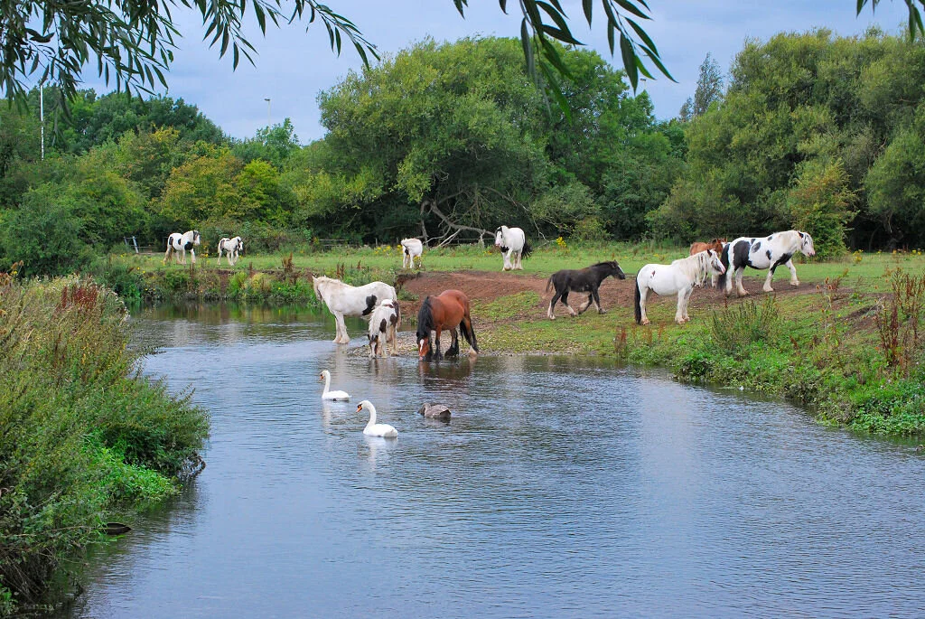 Let's Get Lost — 9 Hidden Nature Spots To Visit In Leicestershire To ...