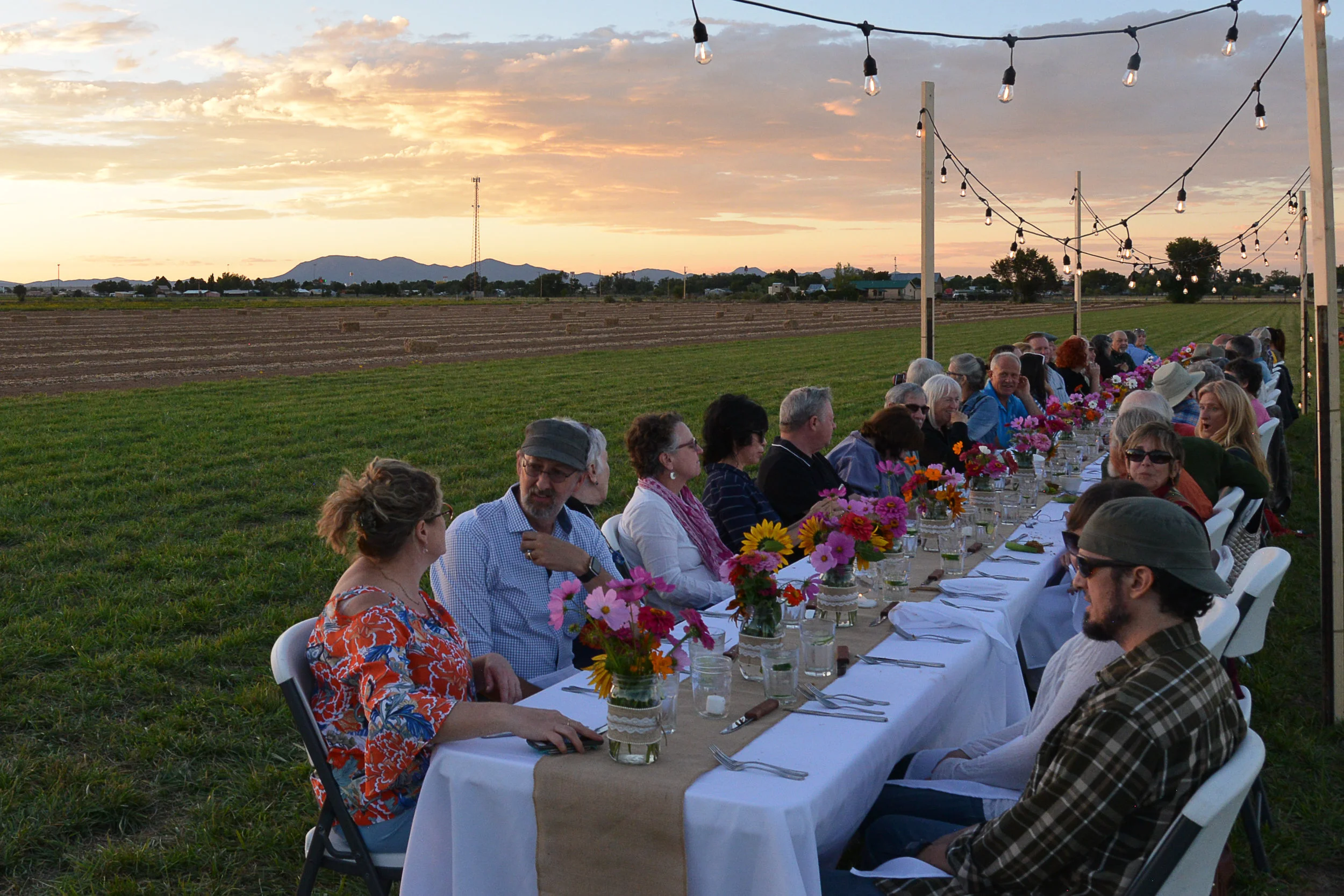 Write-ups — Roots Farm Cafe & Education Center
