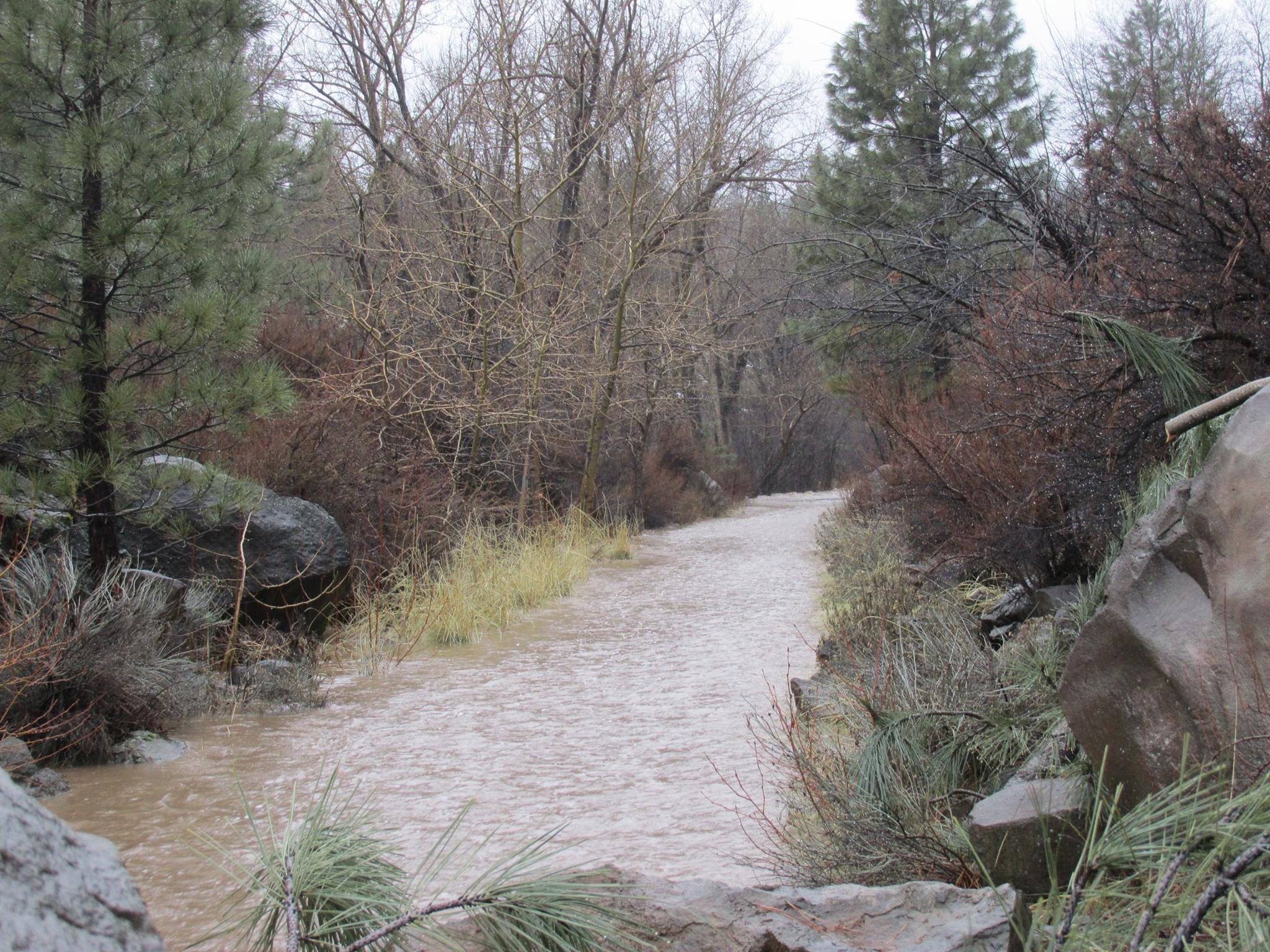 Bizz Johnson Trail