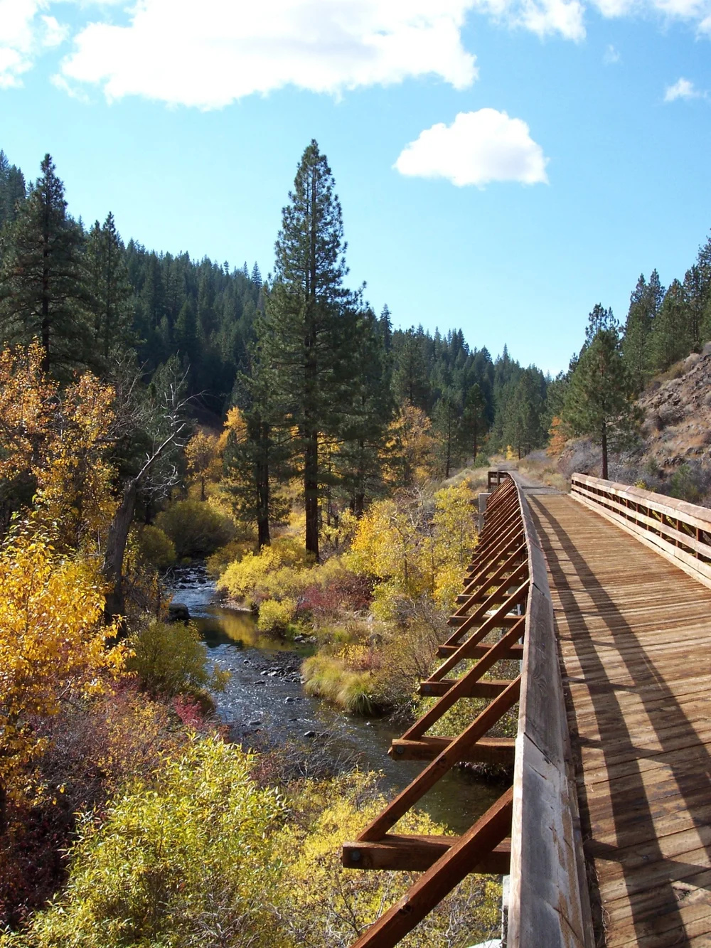 Bizz Johnson Trail