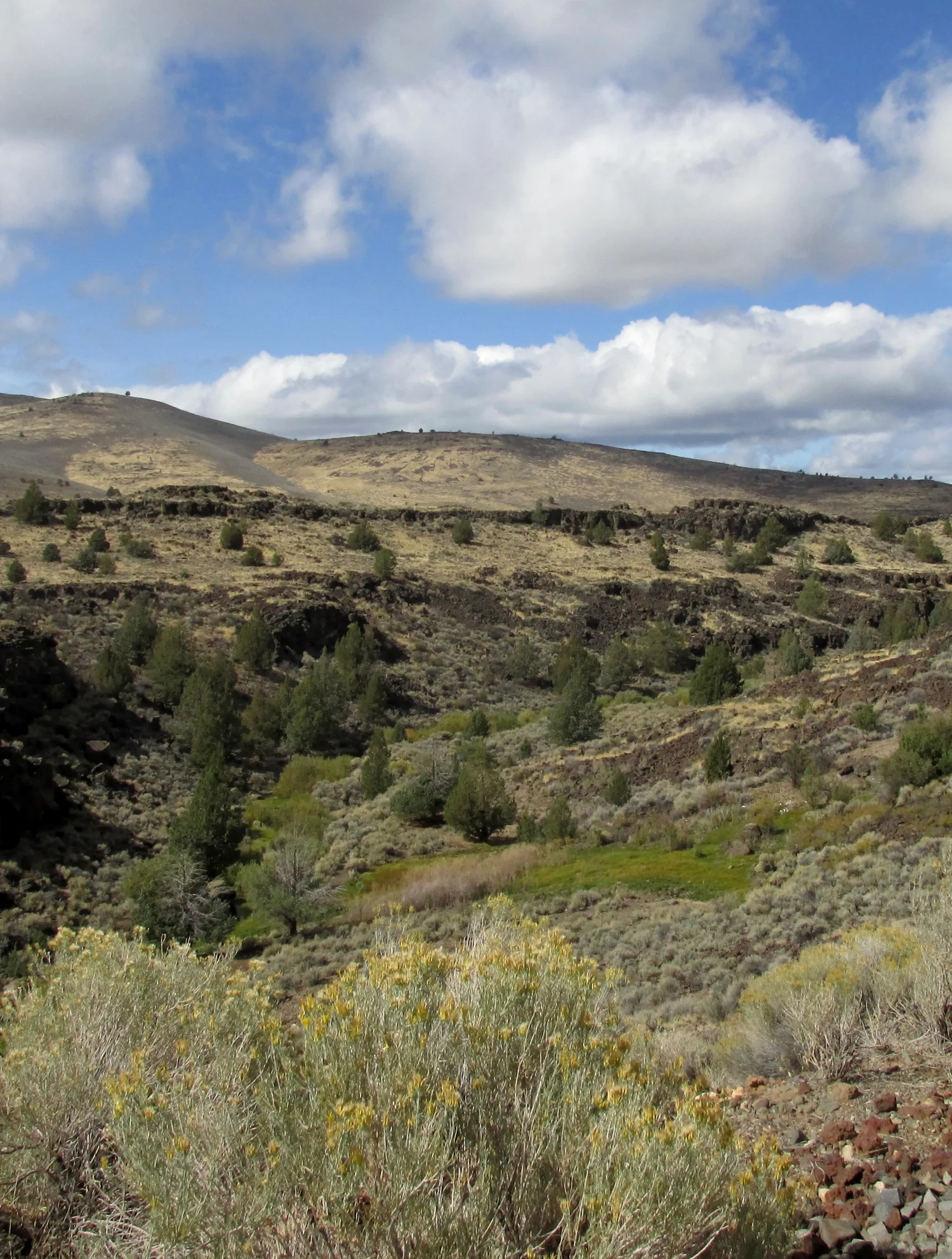 Modoc Line Rail Trail