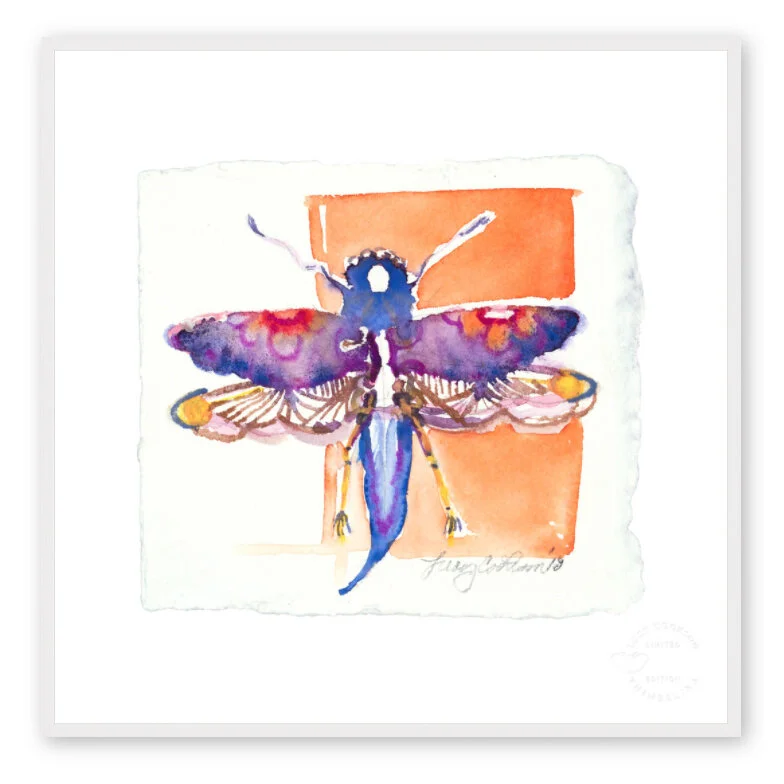 Fine Art Store — Lucy Cookson