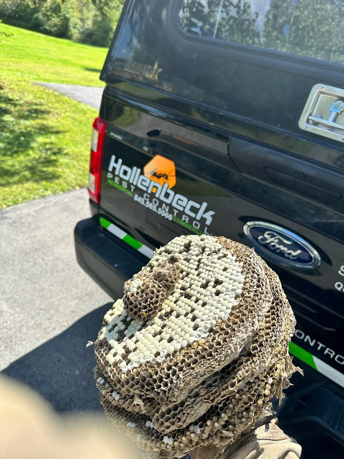 Residential Pest Control & Exterminator for NY Homes | Hudson Valley ...