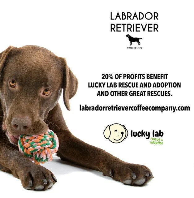 Shopping — Lucky Lab Rescue