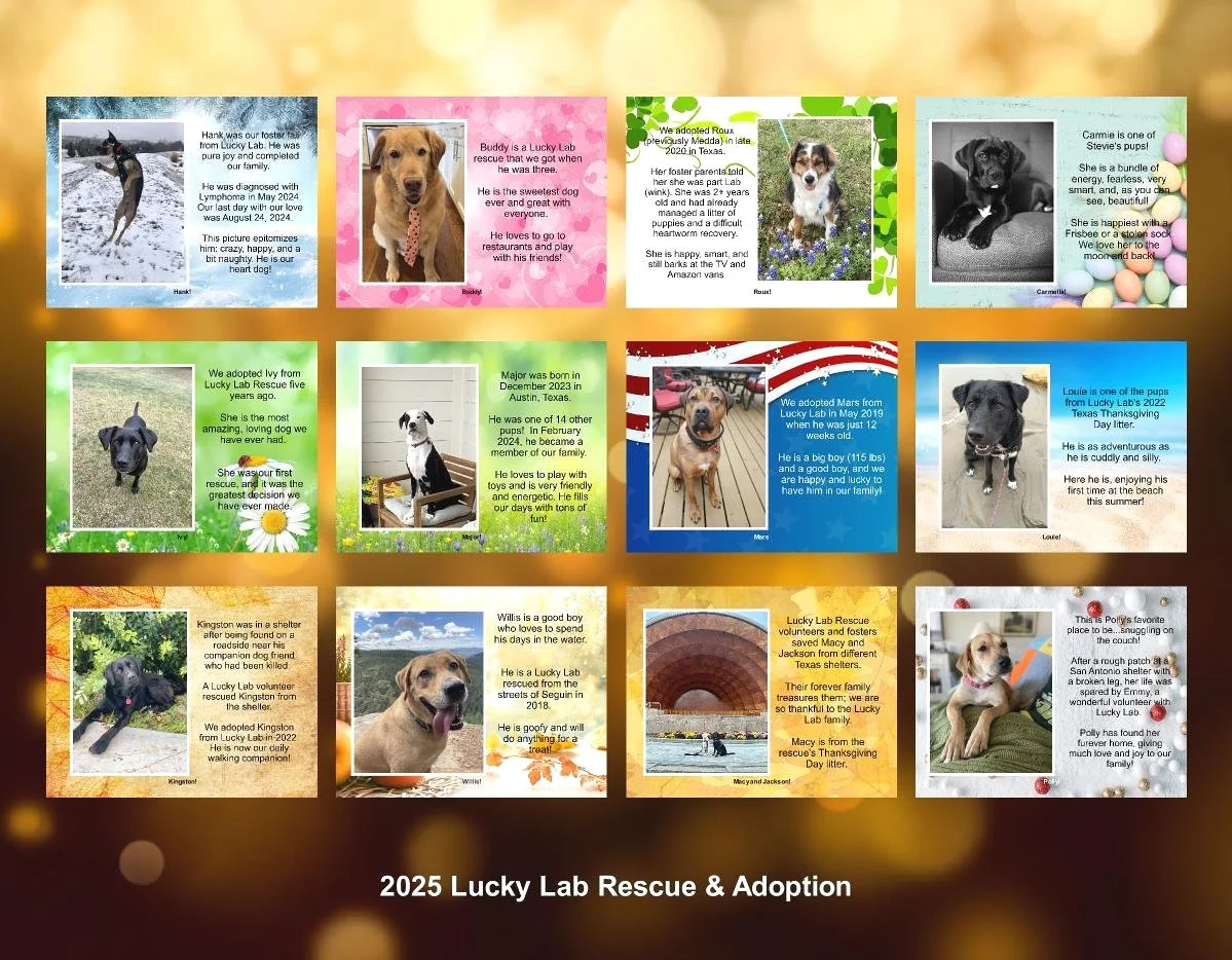 Shopping — Lucky Lab Rescue