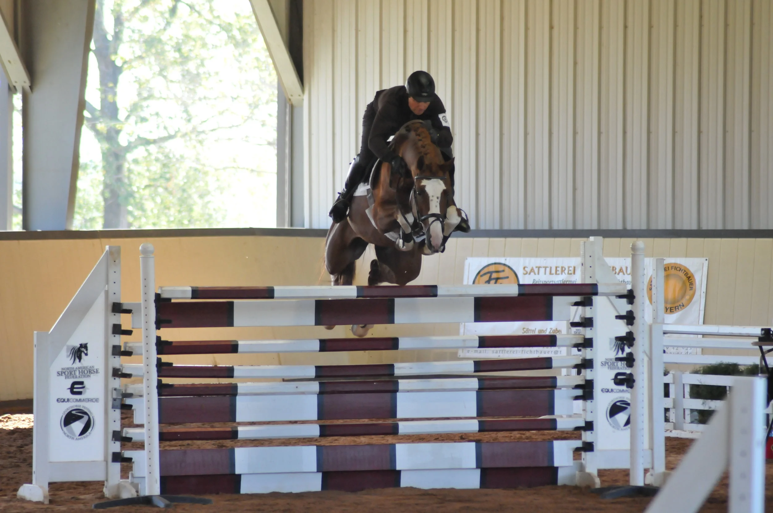 Bon Balou, 2006 Elite Hanoverian Stallion (2006-2015) - (Balou du Rouet ...