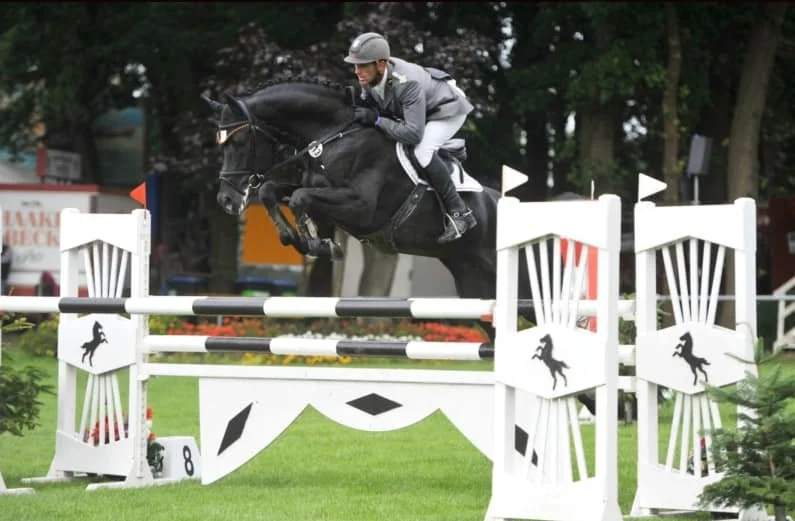 Viscount , 2009 Black Hanoverian Stallion — Dreamscape Farm